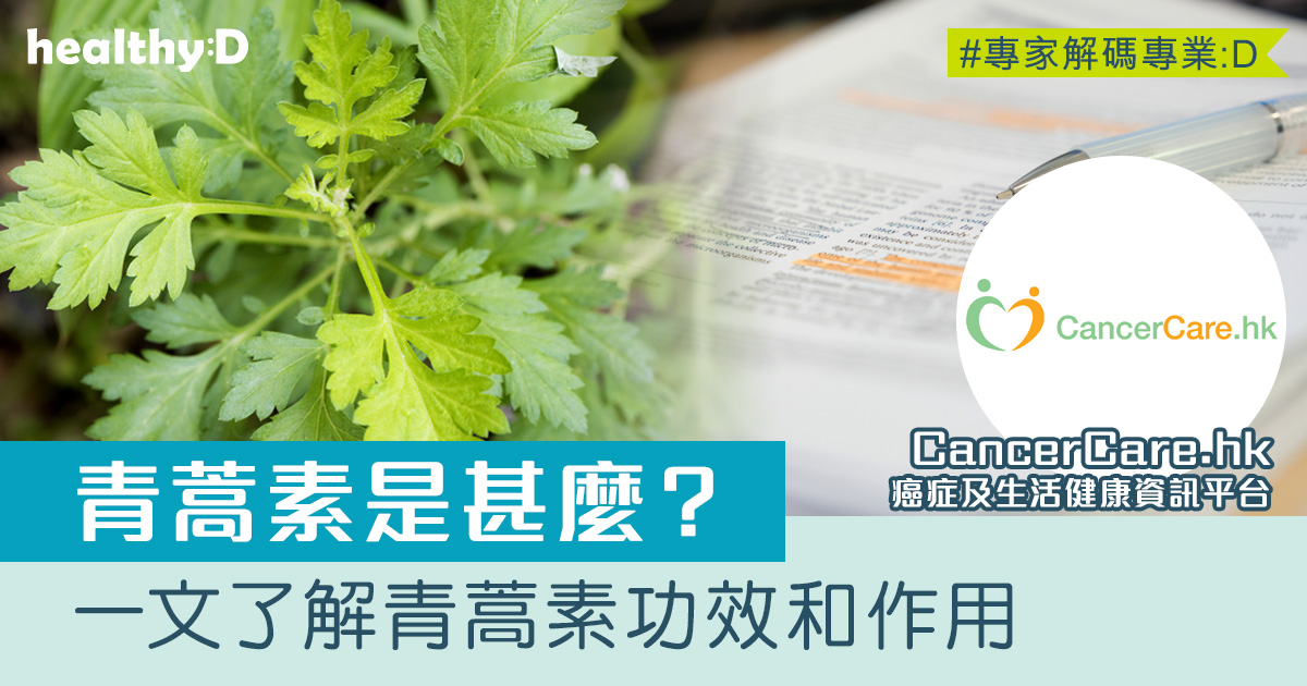 青蒿素｜是中藥嗎？有助抗癌？一文了解青蒿素功效和作用 - 癌症及生活健康資訊平台CancerCare.hk | healthyD.com